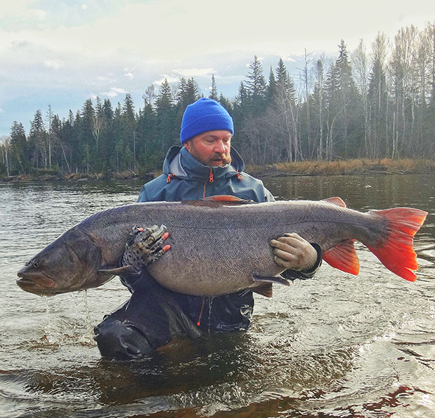New World Record Siberian Taimen on Fly - theflylords